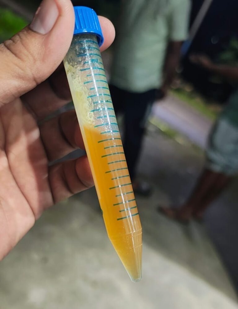 Trial Runs Manufacturer: Ensuring Quality & Performance Testing - Pilon ...